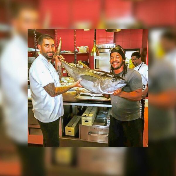 Abacus | Cityplugged Cayman