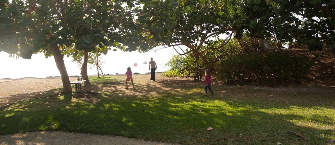 Dart Family Park | Cityplugged Cayman